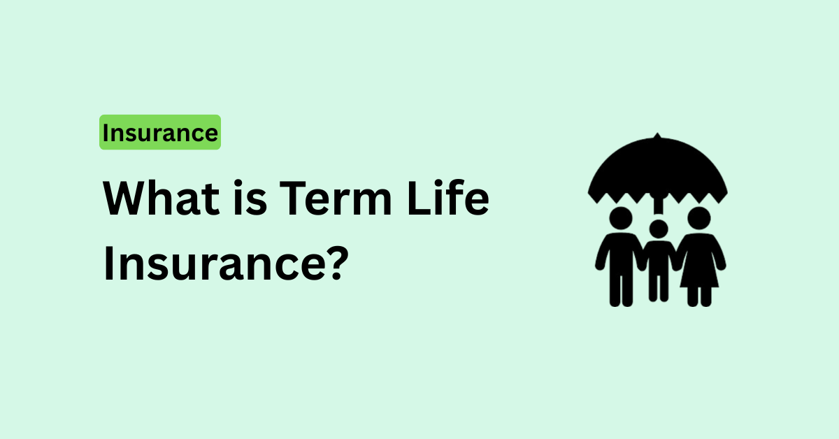 What is Term Life Insurance? - Moneymoksh